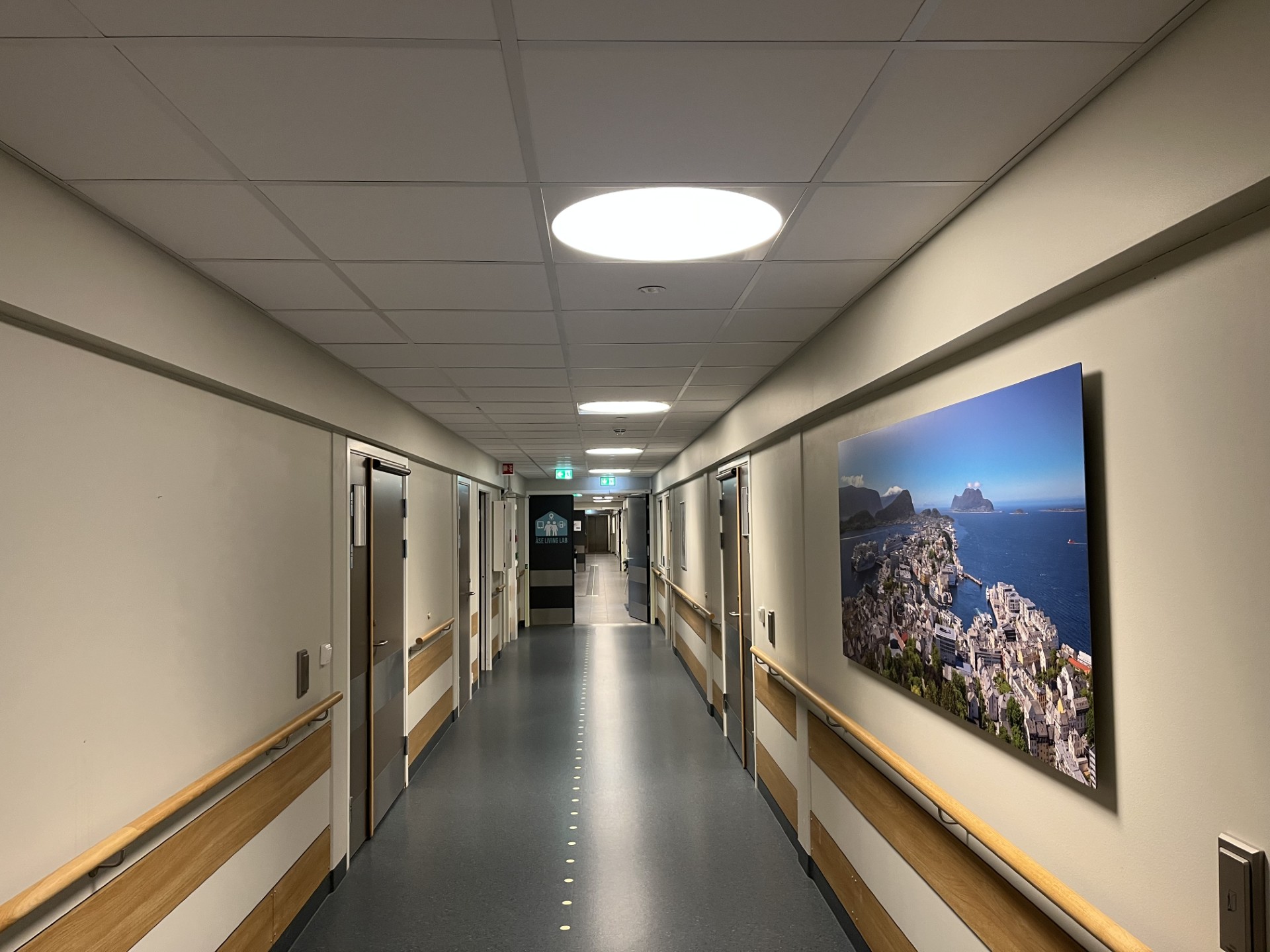 Strid om palliativ avdeling i Ålesund: - Fornuften peker mot Åse - RÅ24